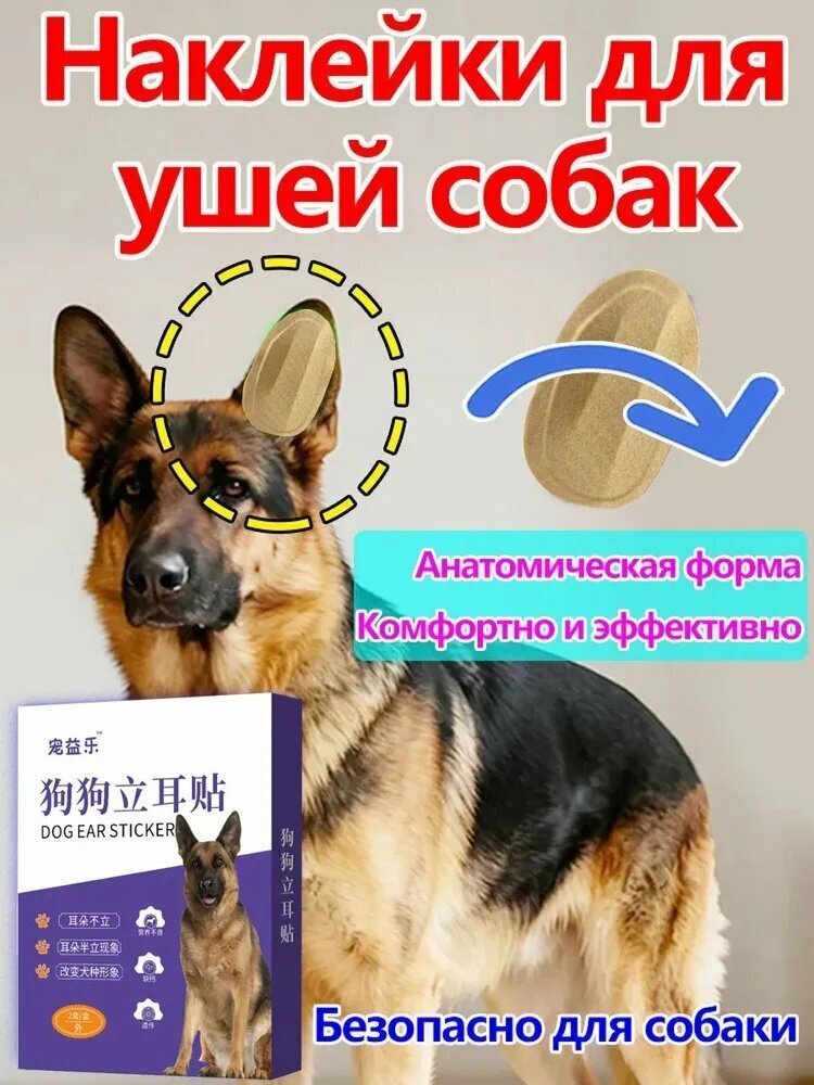 Пластыри для постановки ушей, корректирующие накладки для поднятия ушей у собак безопасные для ушного хряща.