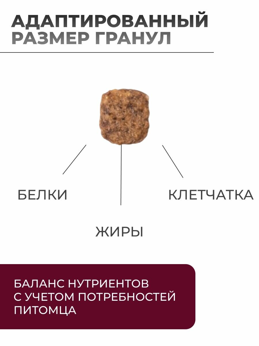 Корм сухой