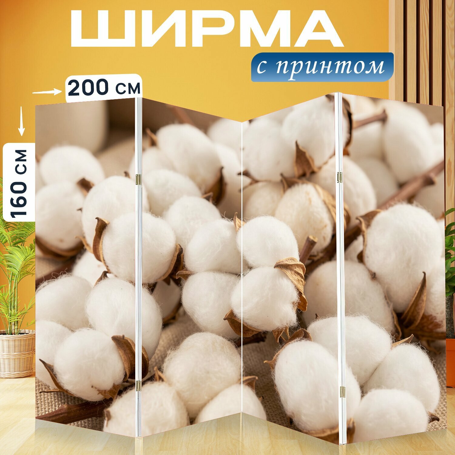 Ширма "Белые хлопковые коробочки. Натуральные пушистые соцветия в теплой бежевой гамме, крупный макро-ракурс." перегородка для зонирования комнаты с принтом 200x160 см. на холсте