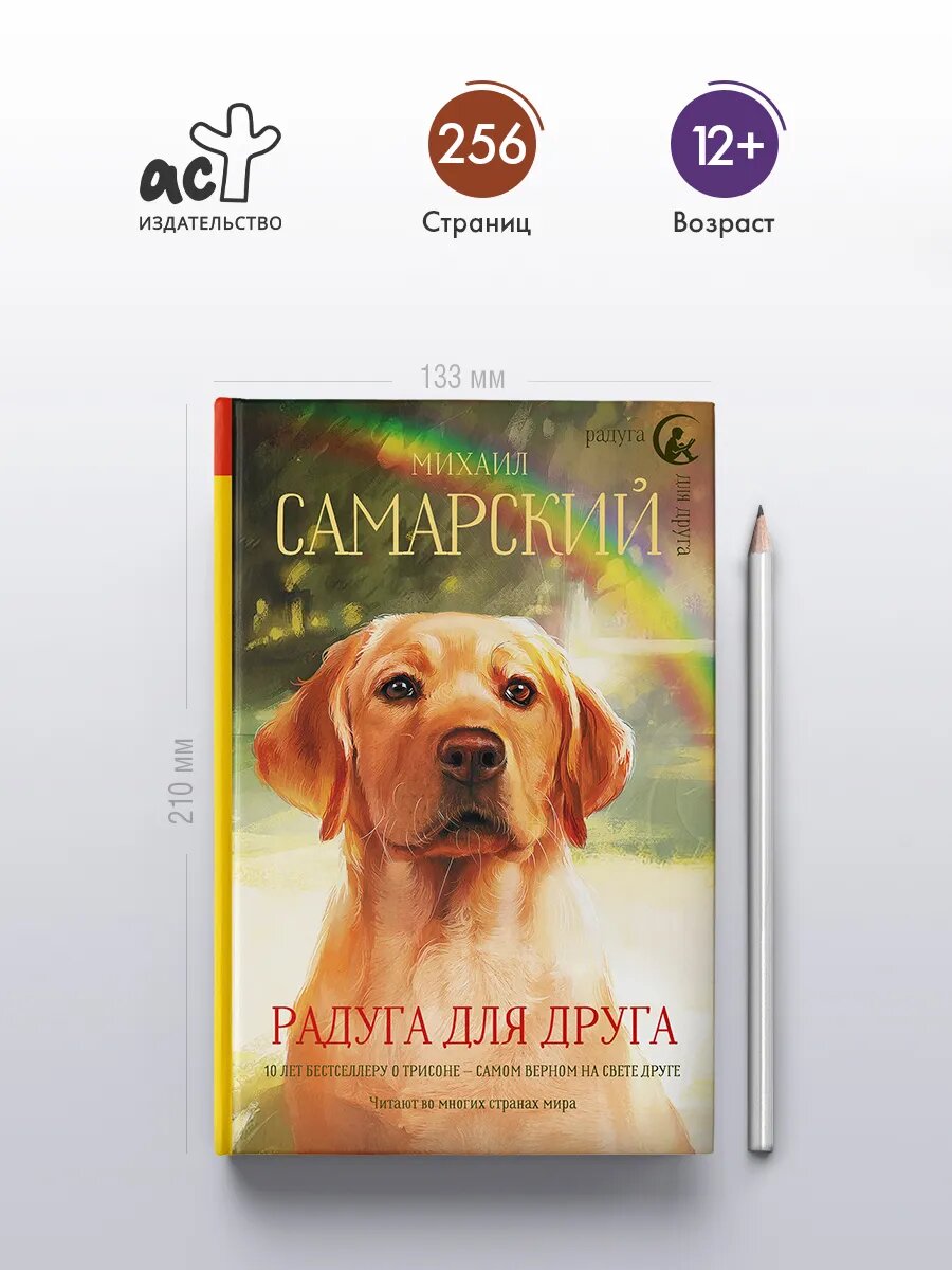 Радуга для друга — фото 1