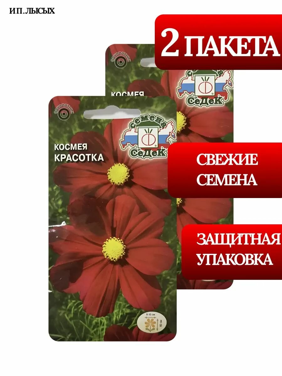 Семена Космея "Красотка"