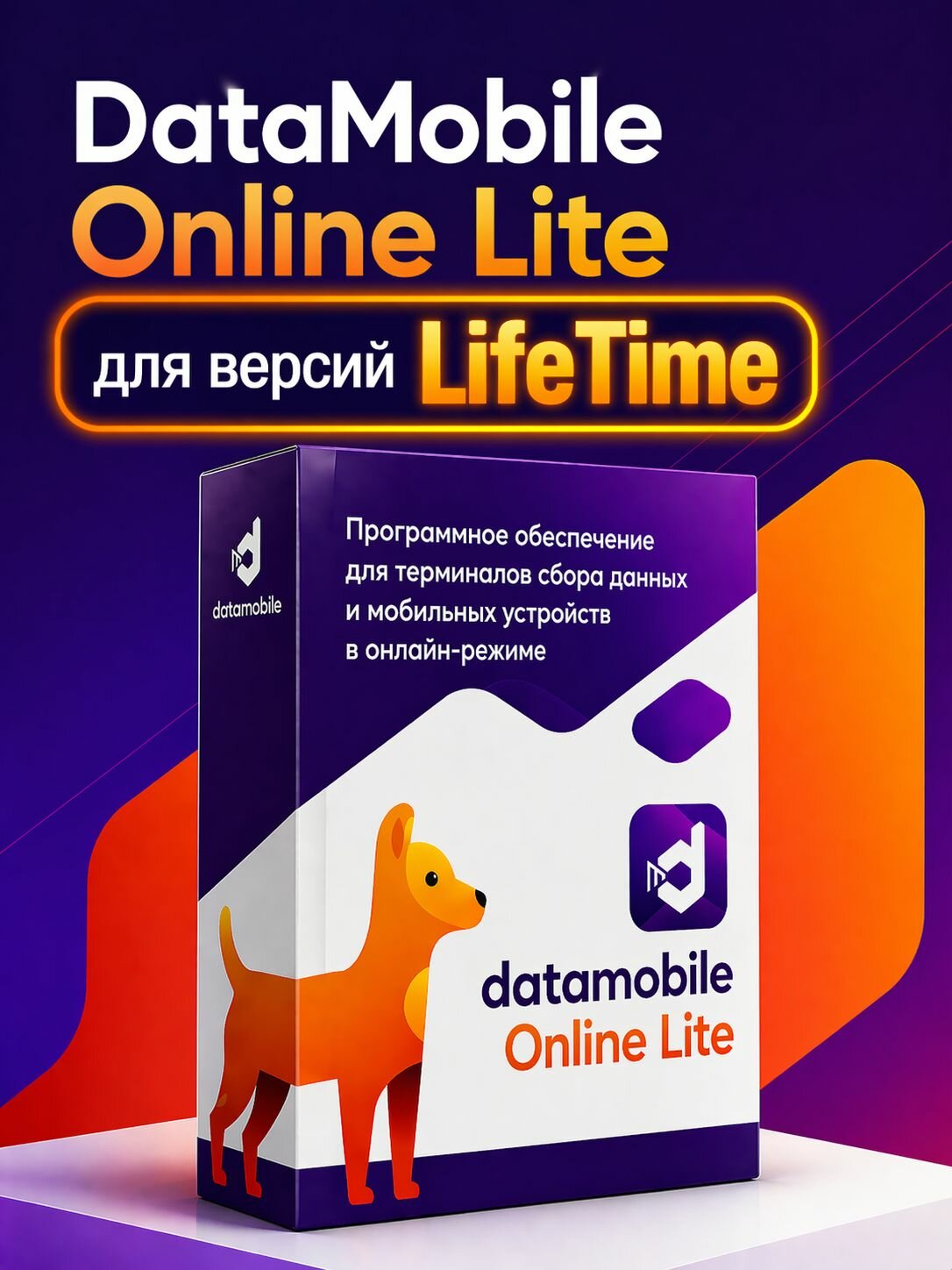 DMUpd: Подписка на обновления ПО DataMobile, версия Online Lite (LifeTime) лицензия на 12 месяцев