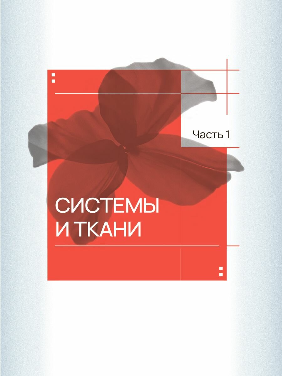 Лицо и шея — фото 1