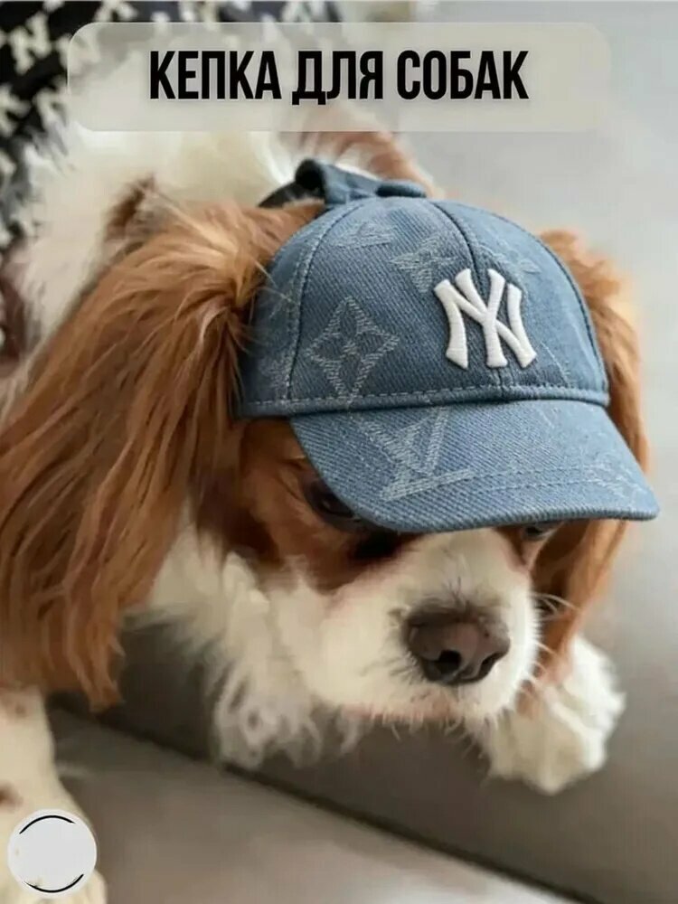 Кепка для собак и кошек LA(MLB)