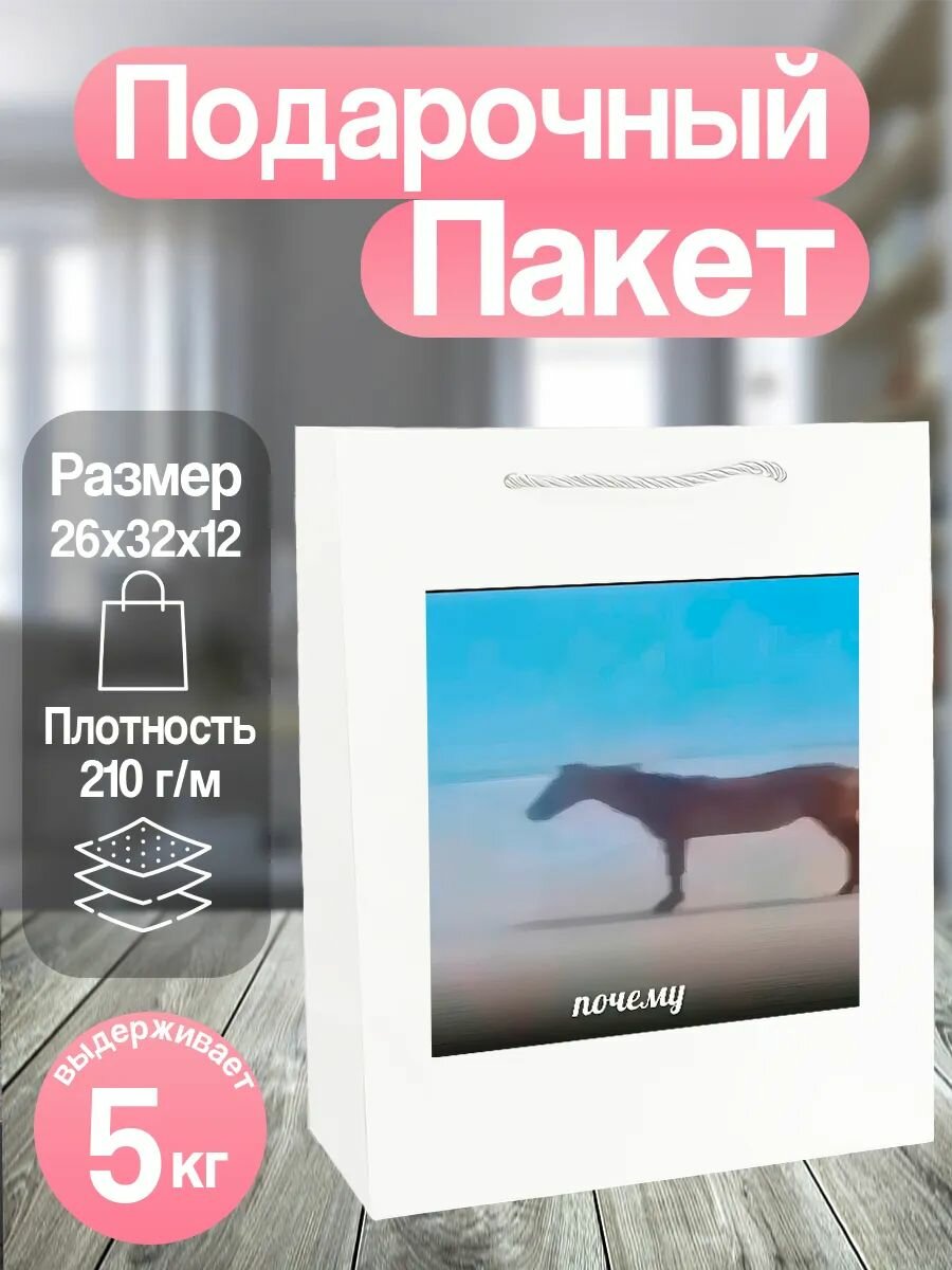 Пакет подарочный мем котики