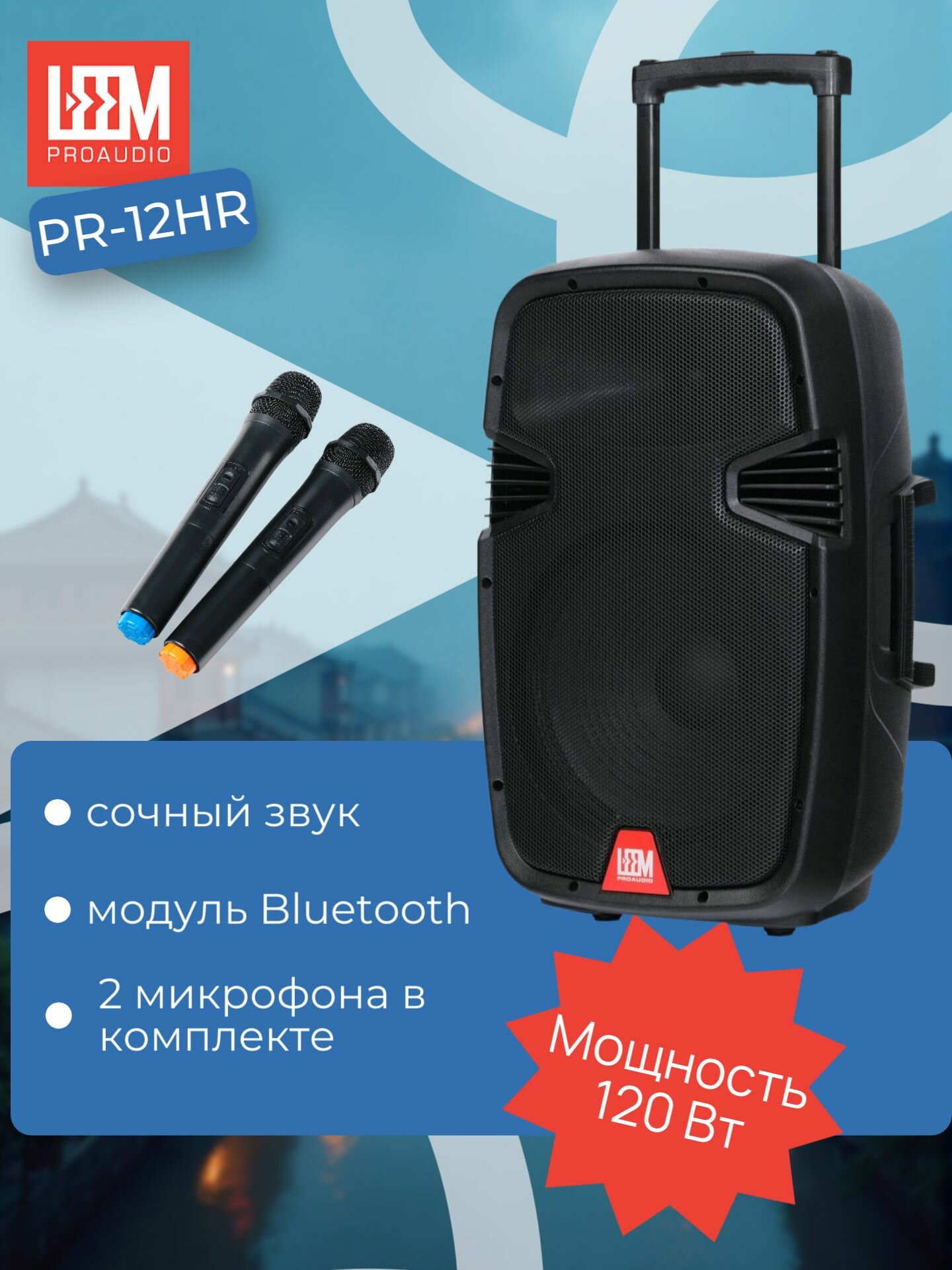 Акустическая система с 2 микрофонами Leem PR-12HR