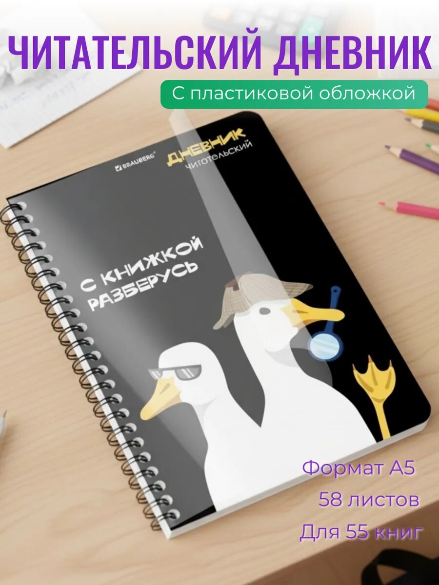 Дневник читателя школьный с пластиковой обложкой на кольцах