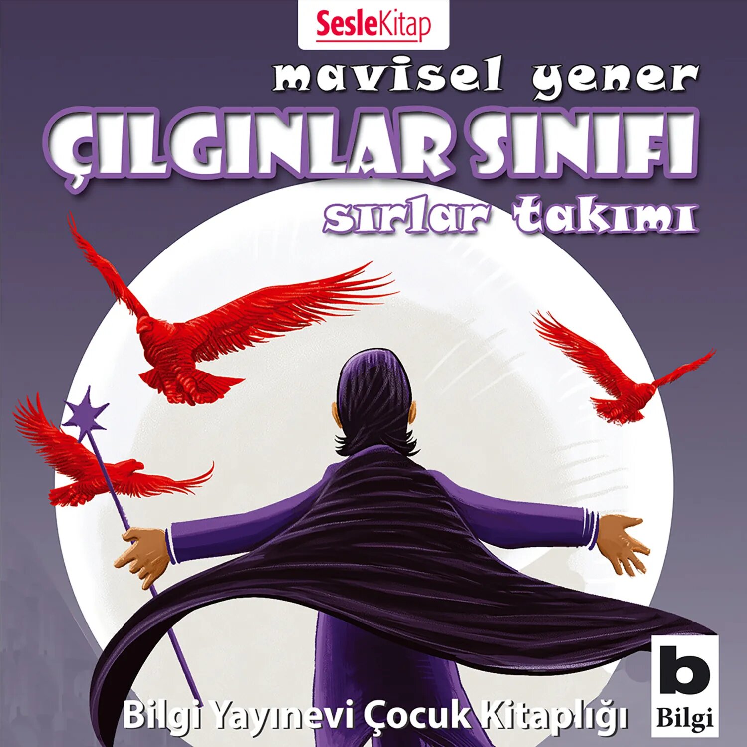 Çılgınlar Sınıfı 4 – Sırlar Takımı [Аудиокнига]