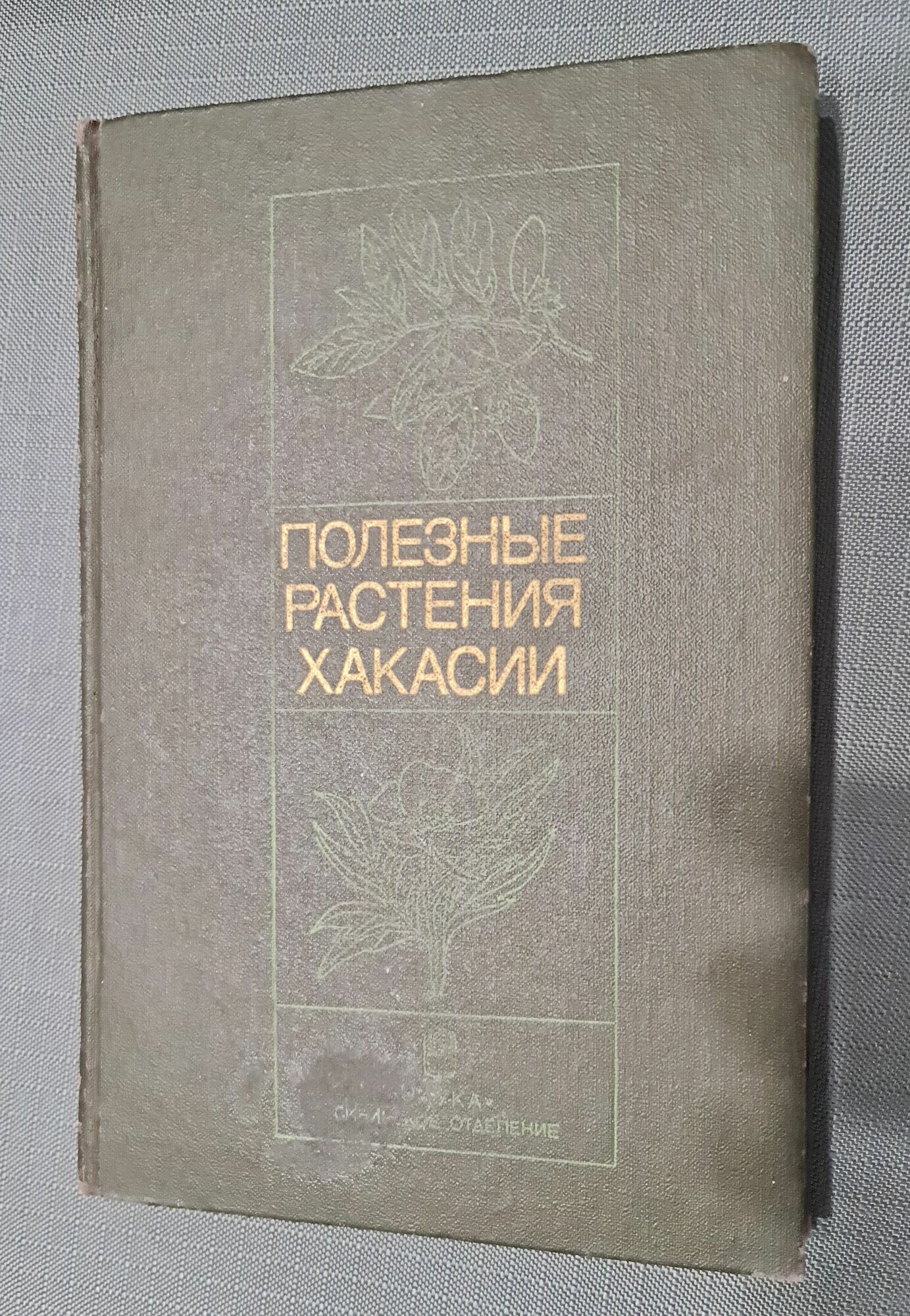Пленник Р. - Полезные растения Хакасии. Ресурсы и интродукция, Редкая книга, 1989