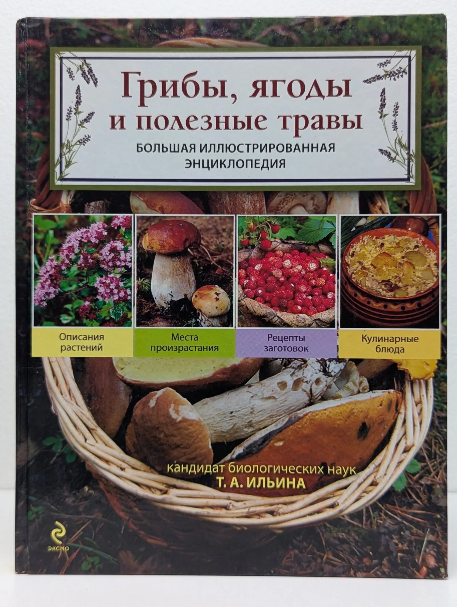 Грибы, ягоды и полезные травы. Большая иллюстрированная энциклопедия Ильина Татьяна Александровна 2012