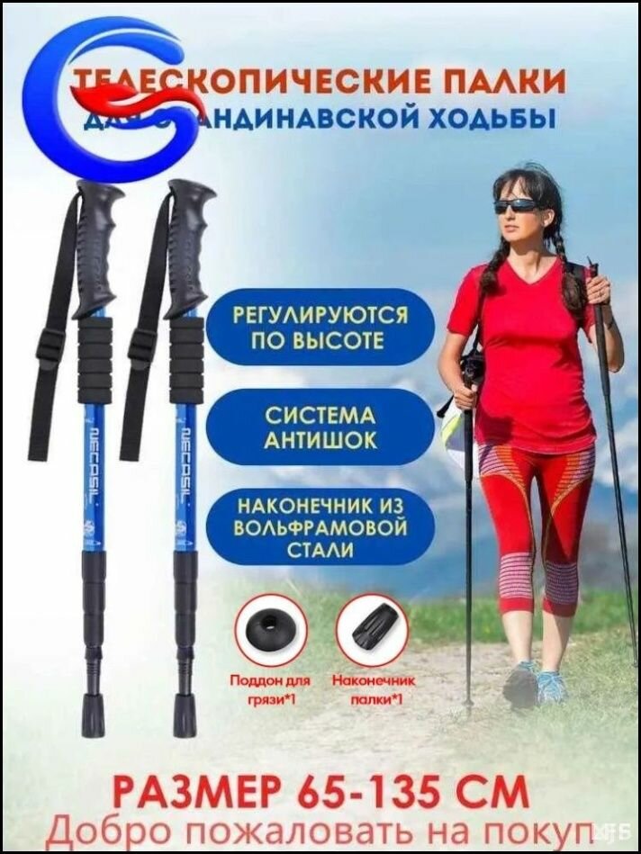 Эксклюзивные северные трости для прогулок