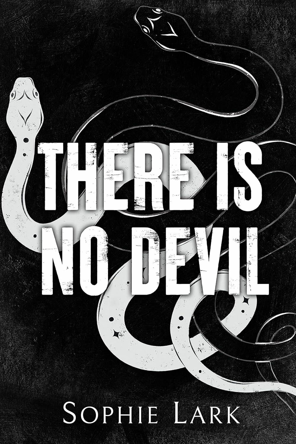 There Is No Devil (Sinners Duet Book 2) Reprinted books