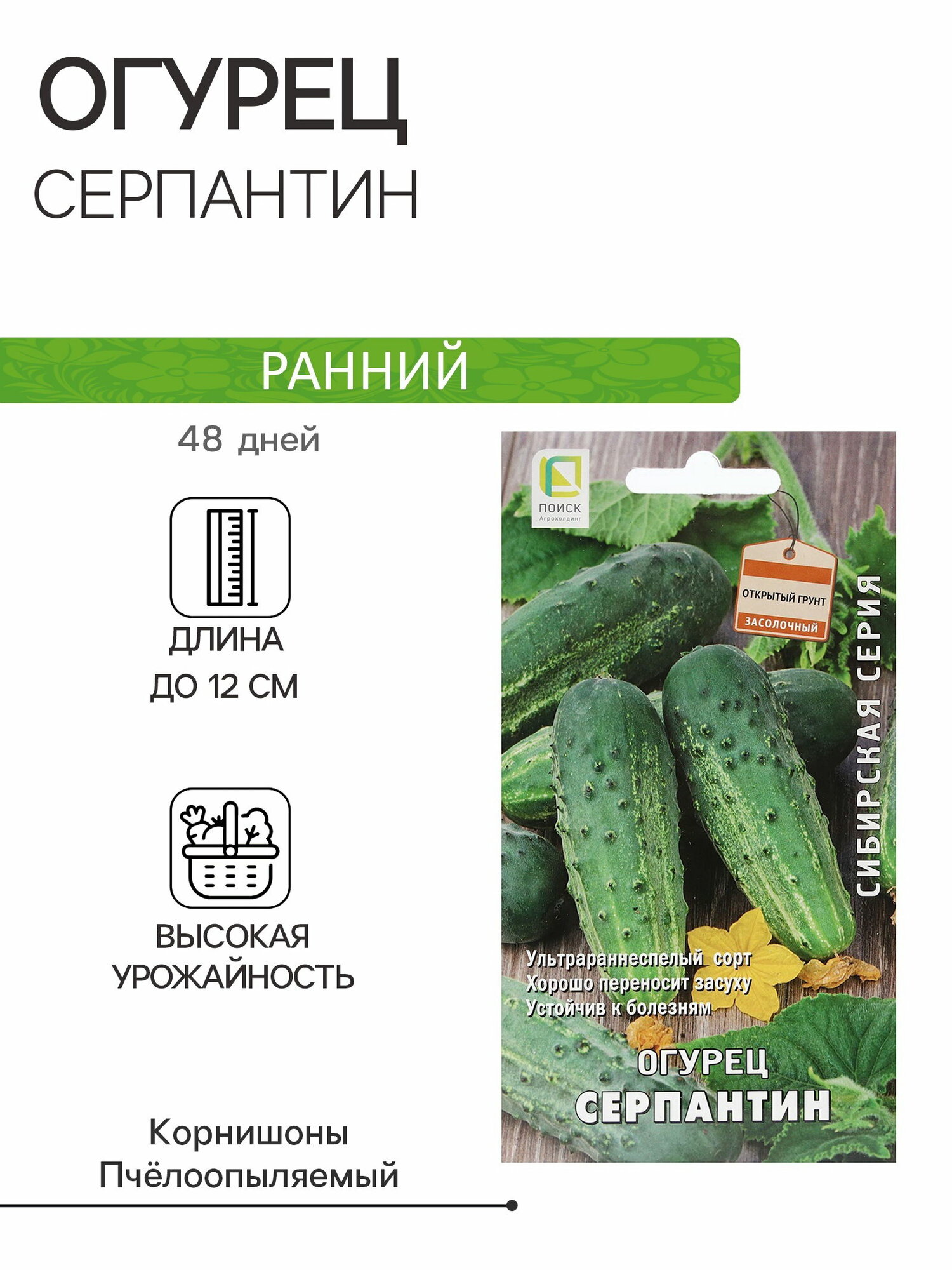Семена Огурец "Серпантин", 15 шт, сроки созревания: ранний, посев на рассаду: апрель