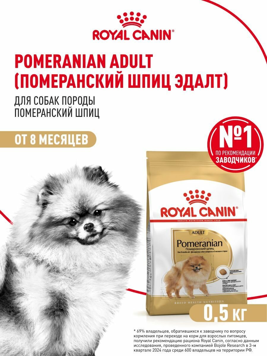 Сухой корм для собак Royal Canin Adult для породы померанский шпиц, 500 г
