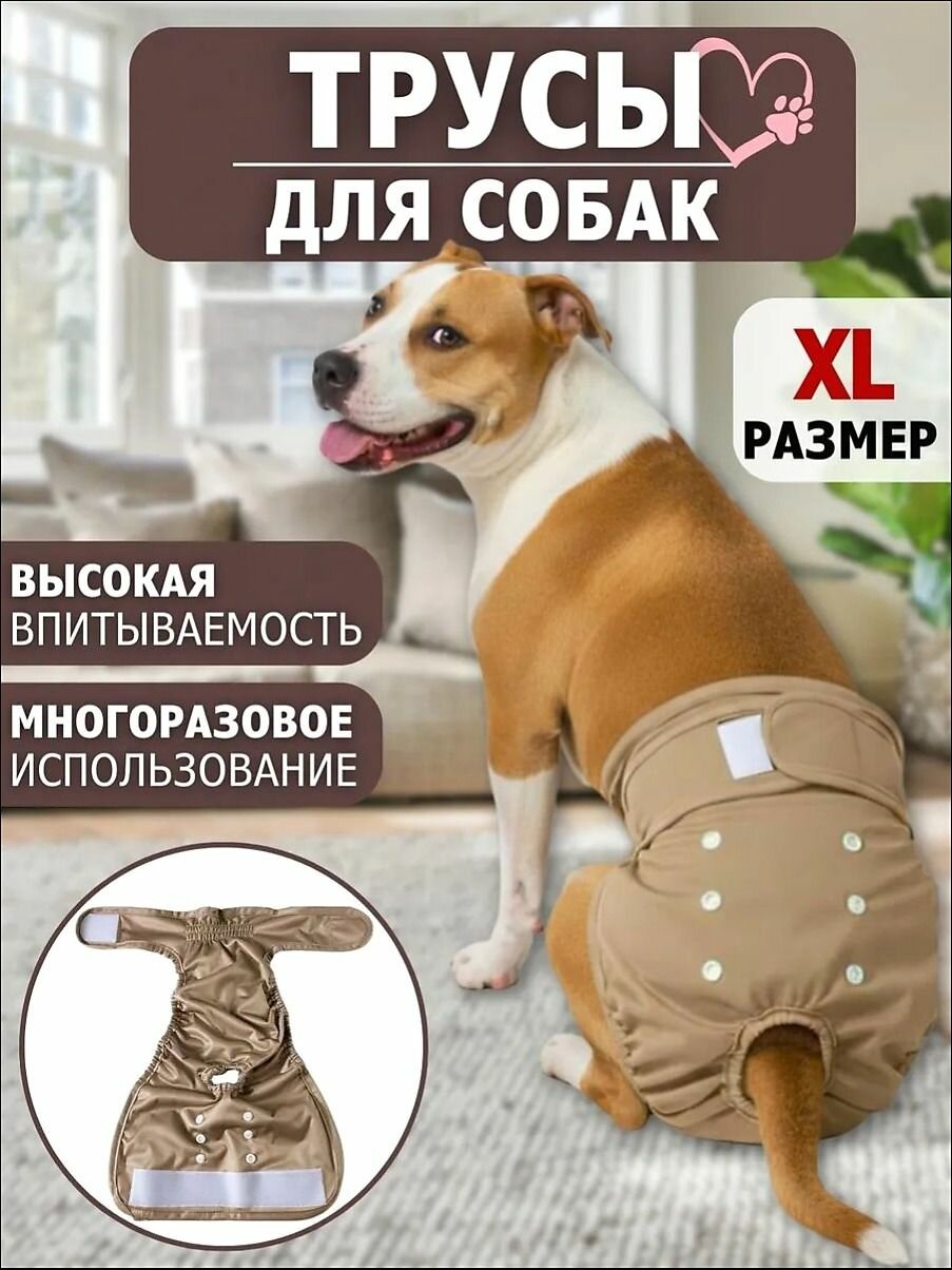 Многоразовые трусы для собак при течке, Размер XL, обхват талии 55-85 см