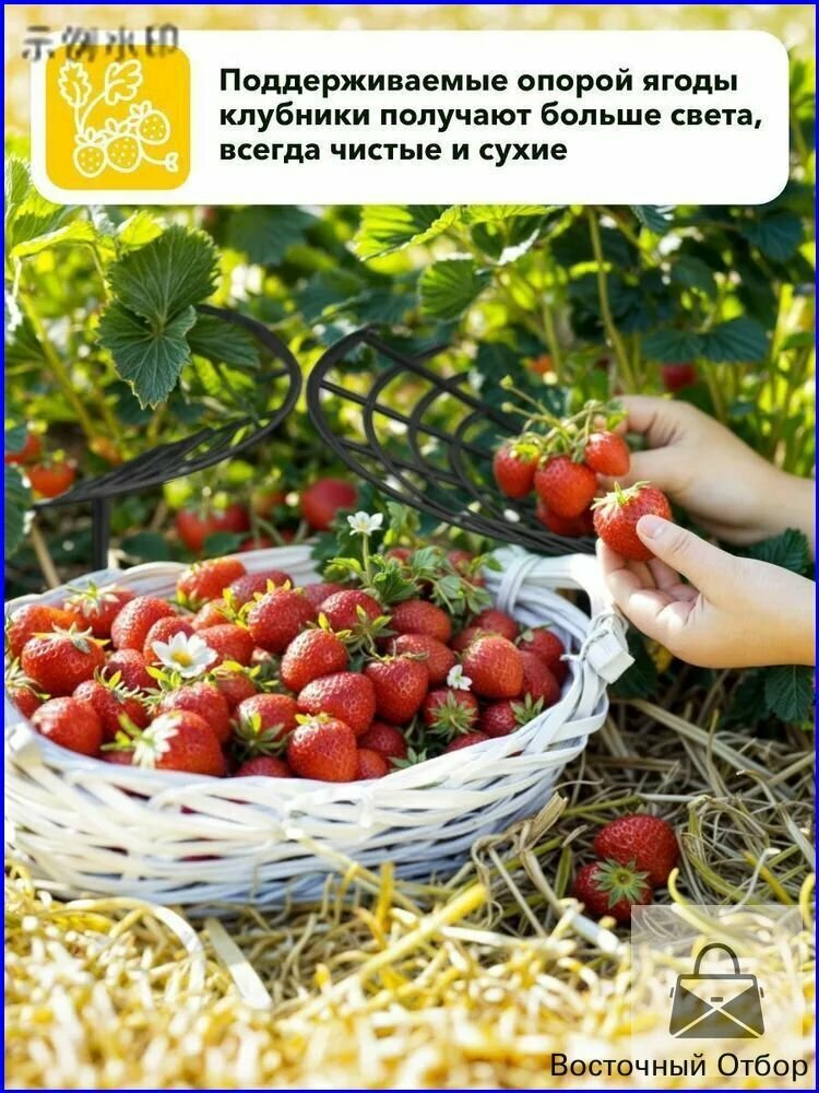 Шпалера,30см,100шт — фото 1