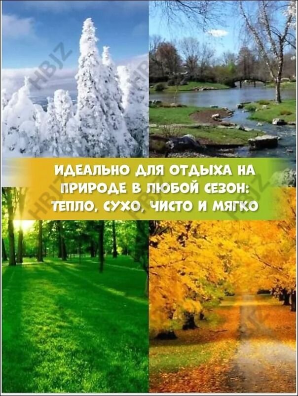 Складная пенка-сидушка с рисунком, легкая, для походов, пикника и отдыха на природе, с чехлом — фото 1