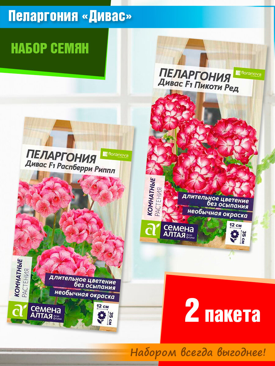 Набор семян комнатных цветов Пеларгония "Дивас" от Семена Алтая (4 пачки)