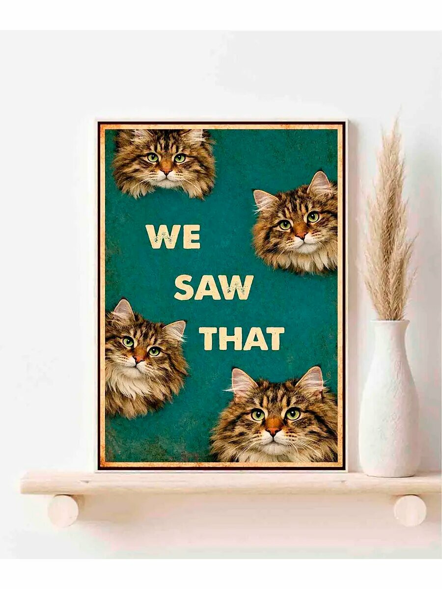 Сибирская кошка, We Saw That, Плакат 30x42см