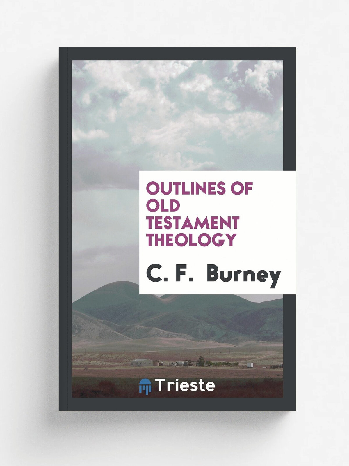 Outlines of Old Testament Theology