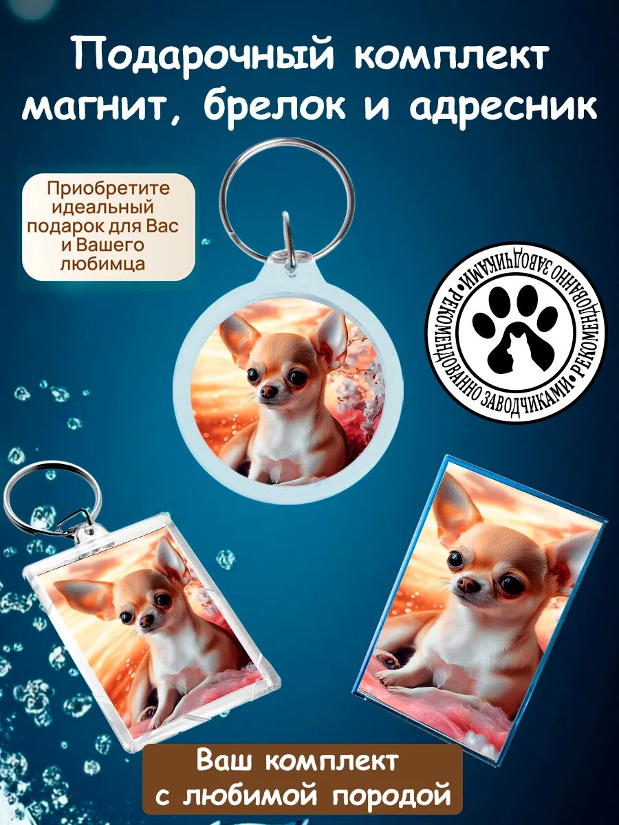Подарочный комплект магнит брелок адресник