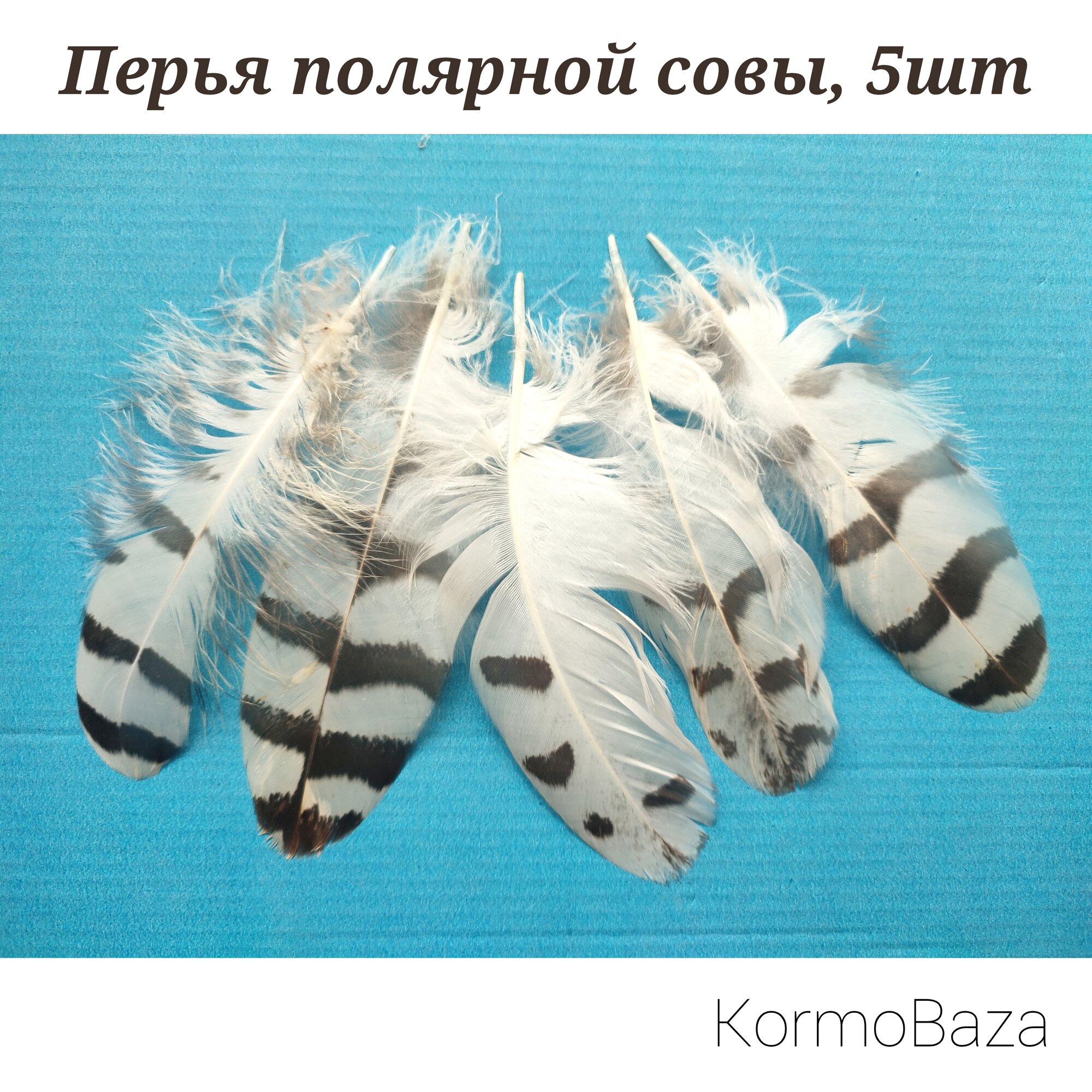 Настоящие перья полярной совы, 5шт. Для творчества и декора