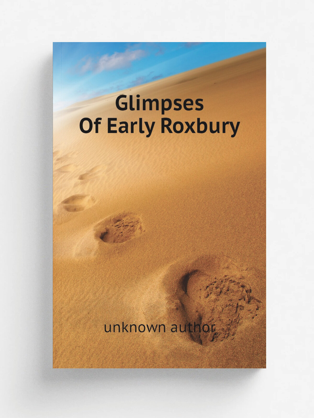 Glimpses Of Early Roxbury | unknown author | Репринт
