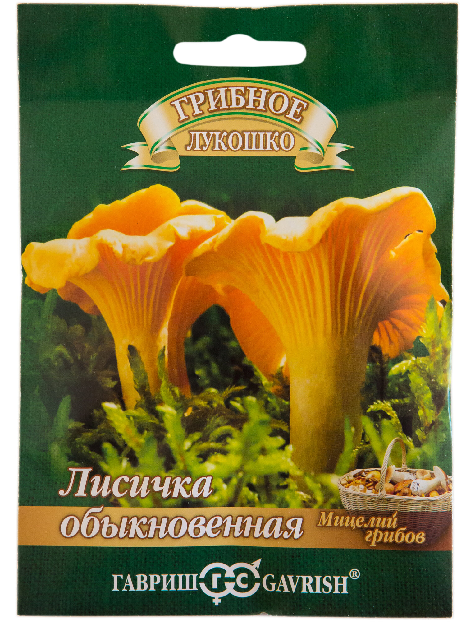 Семена мицелий "Лисичка обыкновенная", на зерновом субстрате, 15 мл