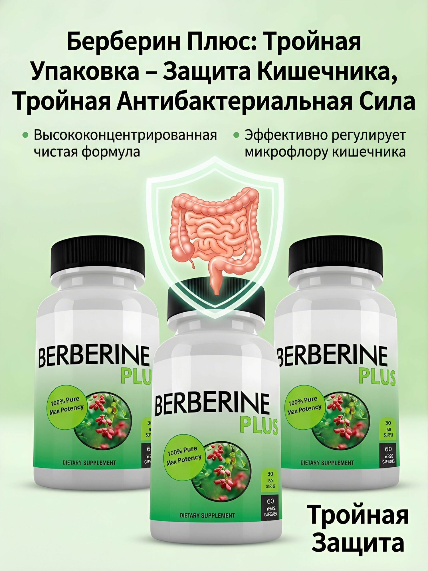 Berberine Plus 1200 мг, 3 упаковки по 60 вегетарианских капсул, с маточным молочком, высокоочищенная формула, поддержка кишечника, регуляция микрофлоры, антибактериальная защита
