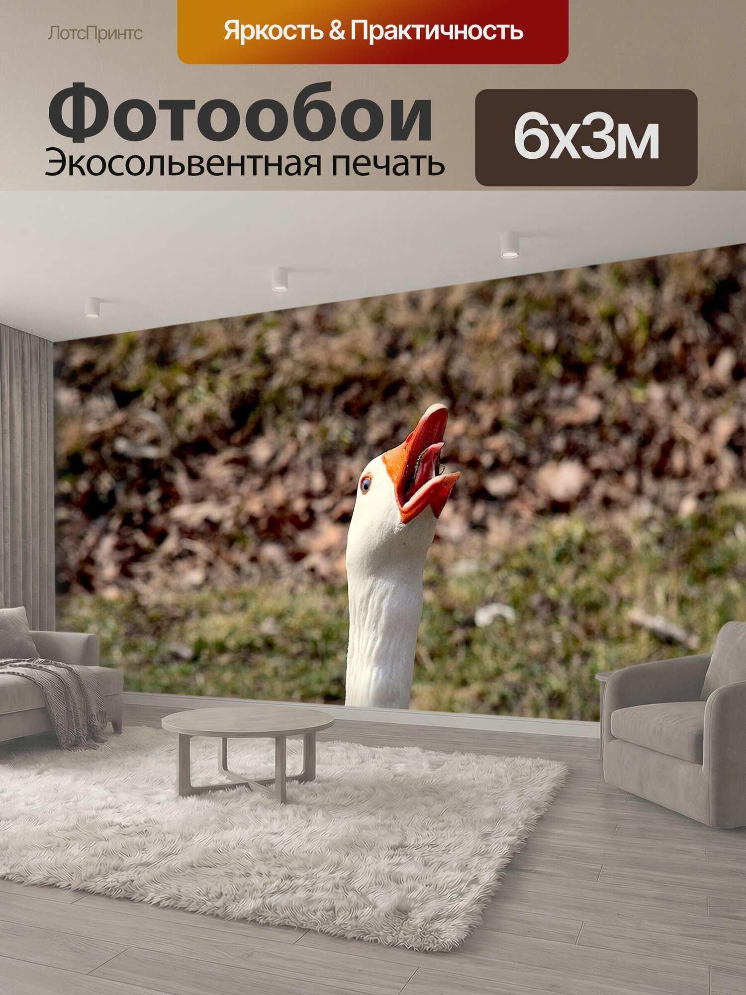 Фотообои "Гуси, гудок, солнечный" 600x300 см. экосольвентная печать