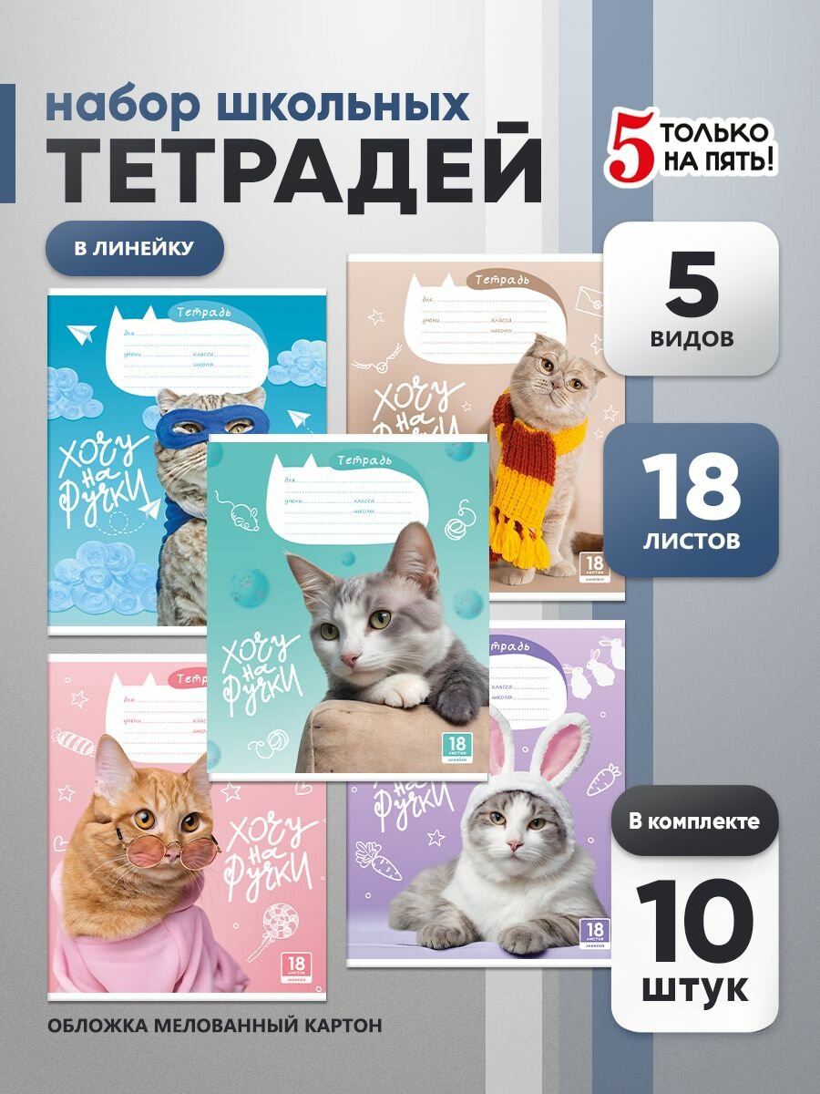 Тетрадь 18 листов в линейку 10 шт
