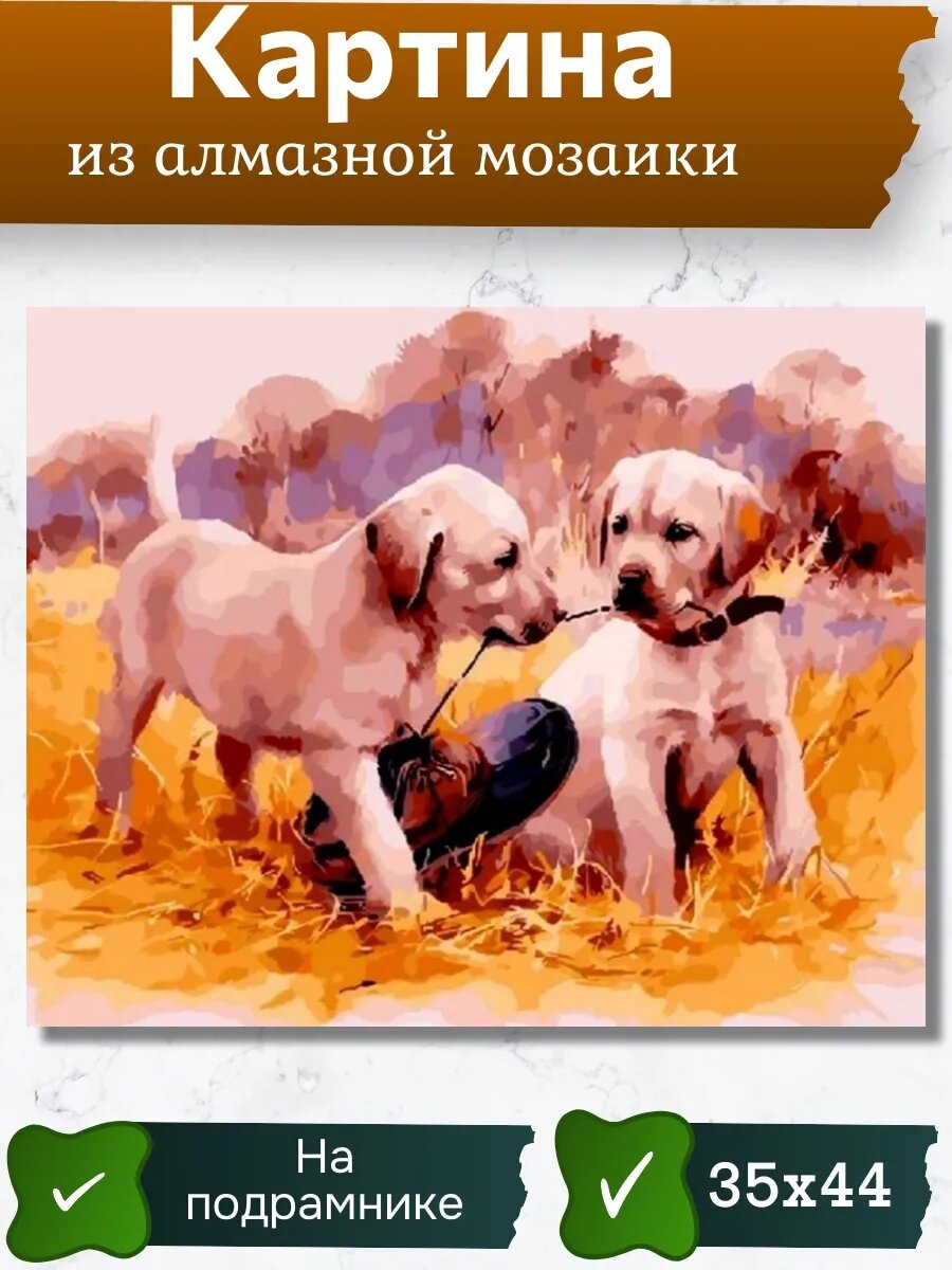 Алмазная мозаика на подрамнике 35х44