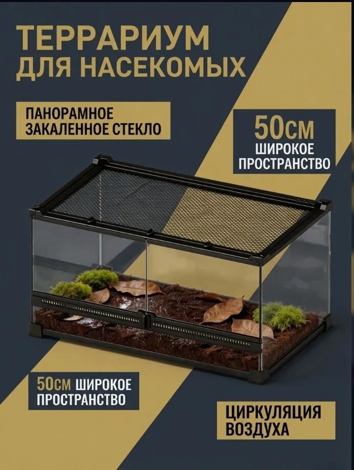 Террариум горизонтальный для насекомых из закаленного стекла 50x30x25 см