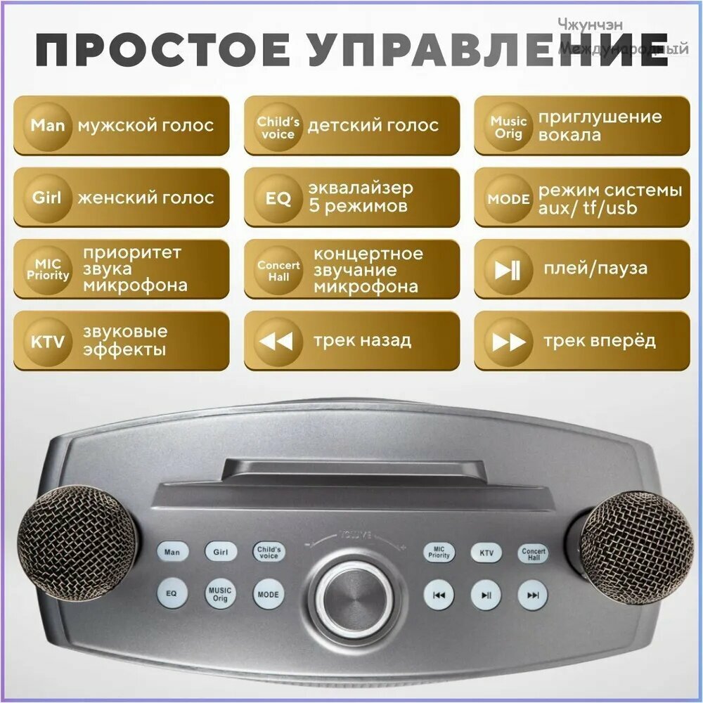 Караоке система беспроводная с двумя микрофонами SDRD SD-306 Plus Серый
