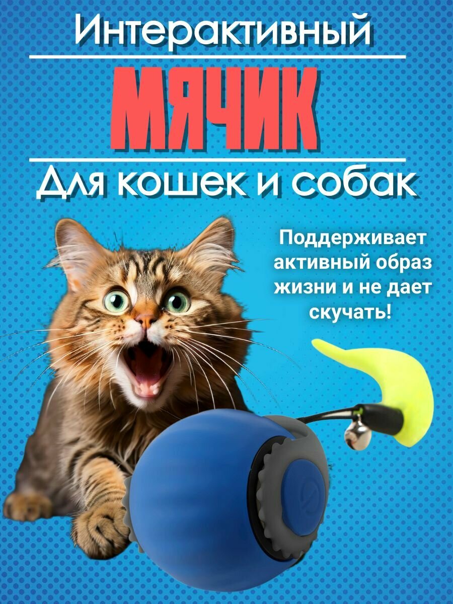 Умный мяч для кошек. Мячик для собак мелких пород