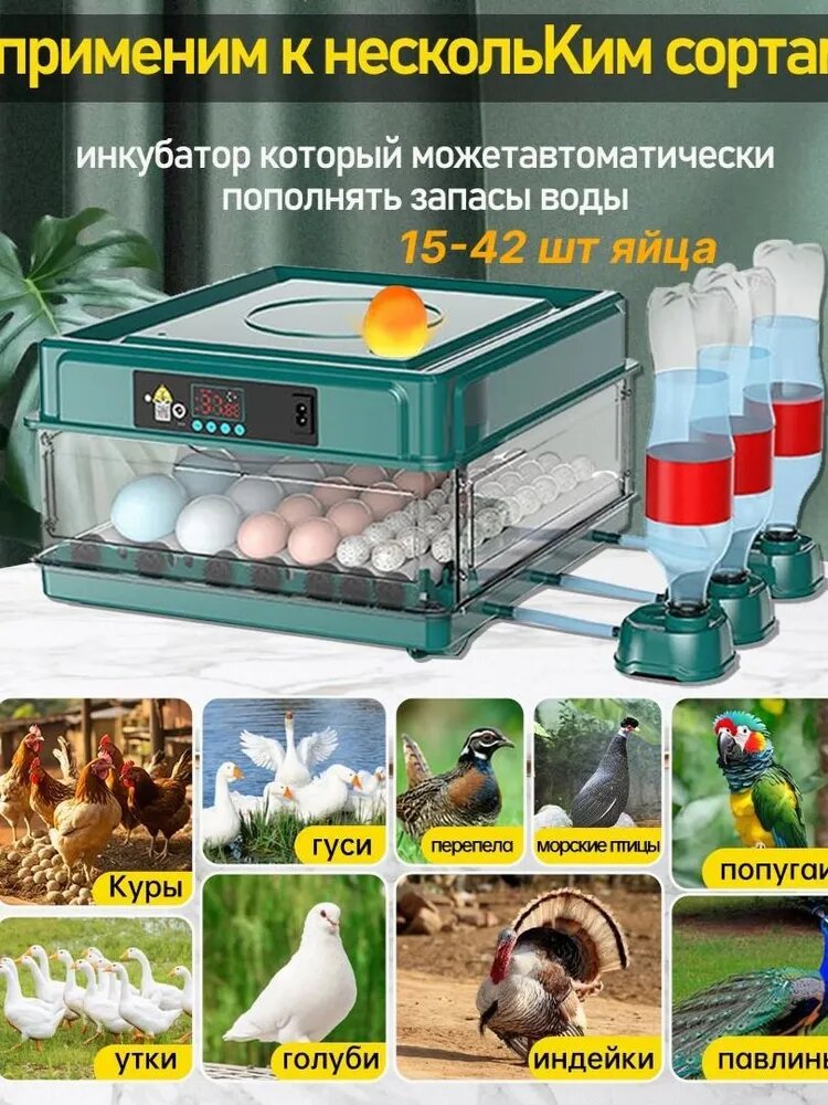 Инкубатор для яиц автоматический на 15 яйца 220B/12B, зеленый В комплект входит инструкция на русском языке гигрометр