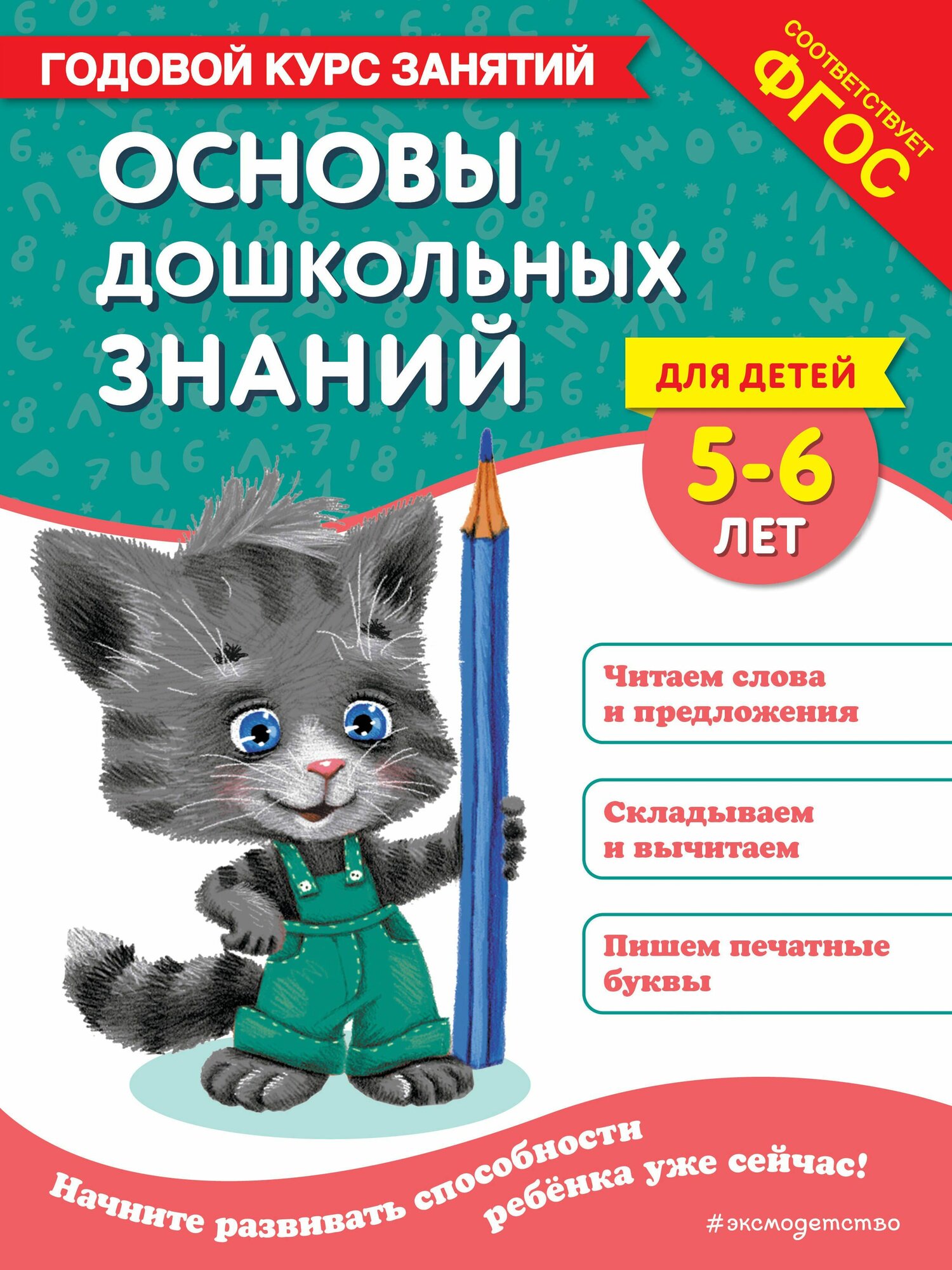Основы дошкольных знаний для детей 5-6 лет. Годовой курс занятий (книга)