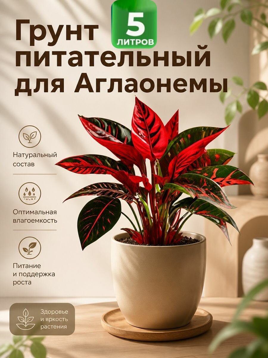 Грунт питательный для Аглаонемы 5 л, Питательный почвогрунт.