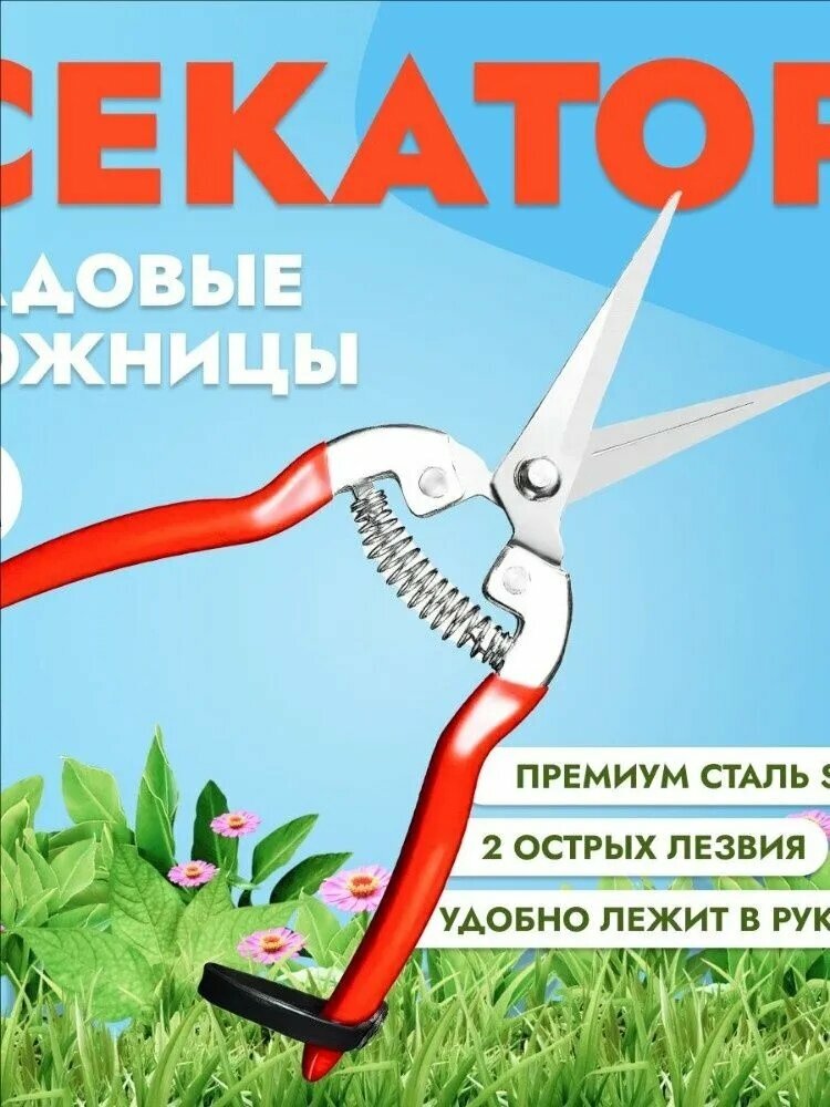 Секатор