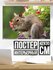 Плакат постер Белка