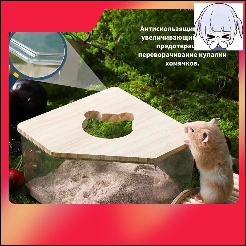 Купалка для мелких грызунов/Домик для хомяков-555