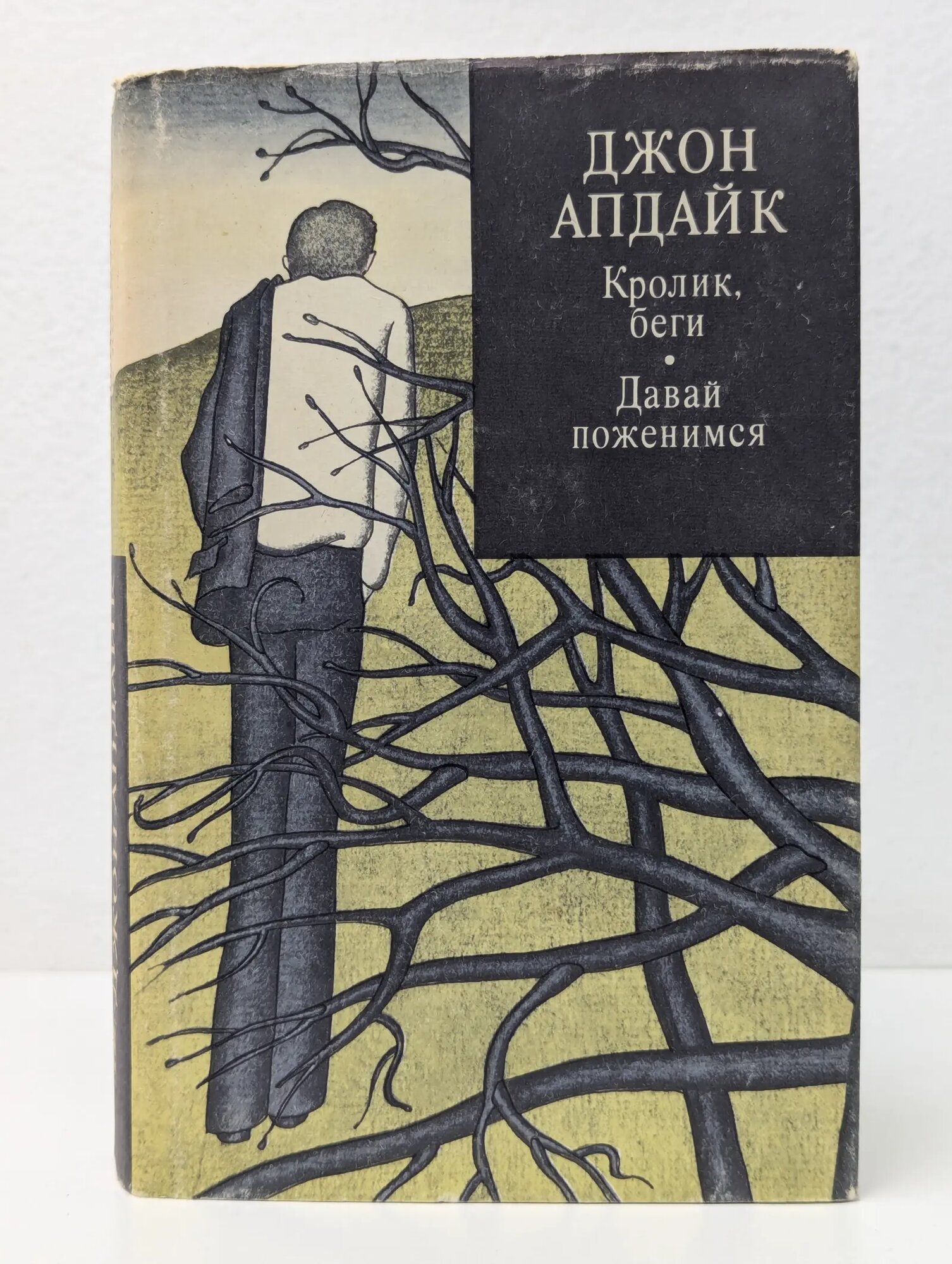 Зарубежный роман XX век. Кролик, беги. Давай поженимся Апдайк Джон 1979