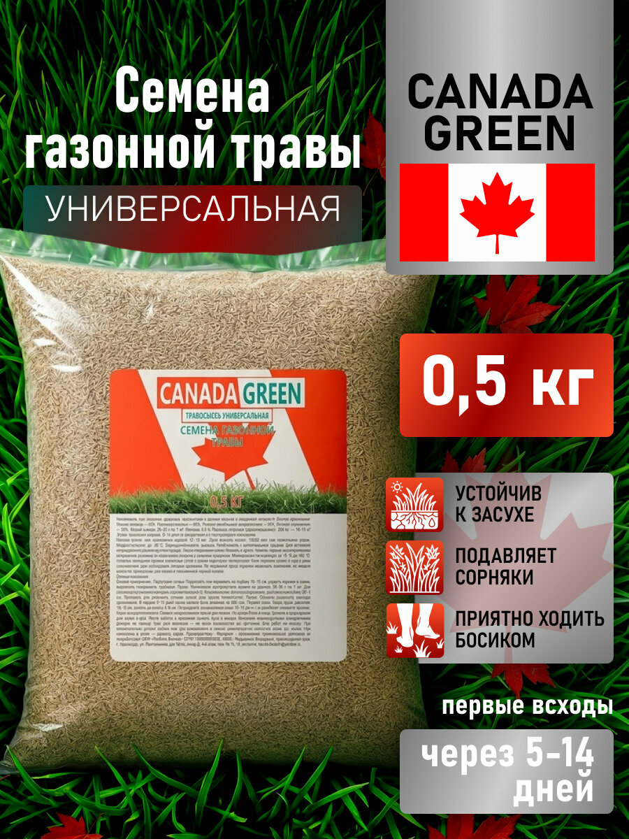 Газонная трава Канада Грин универсальная 0.5 кг многолетняя смесь для дачи и дома