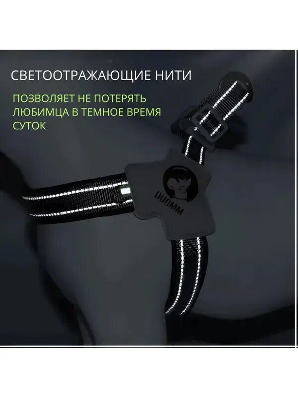 Шлейка — фото 1