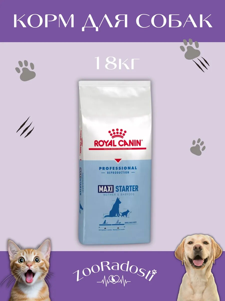 Сухой корм Royal Canin Maxi Starter, для щенков крупных пород, курица, 18кг