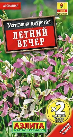 Семена Маттиола Летний вечер, Агрофирма семена маттиолы маттиола летний вечер