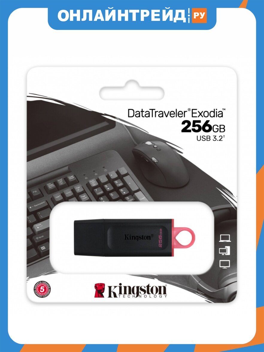 USB флешка Kingston 256Gb DTX/256Gb USB 3.2 Gen 1 (USB 3.0)