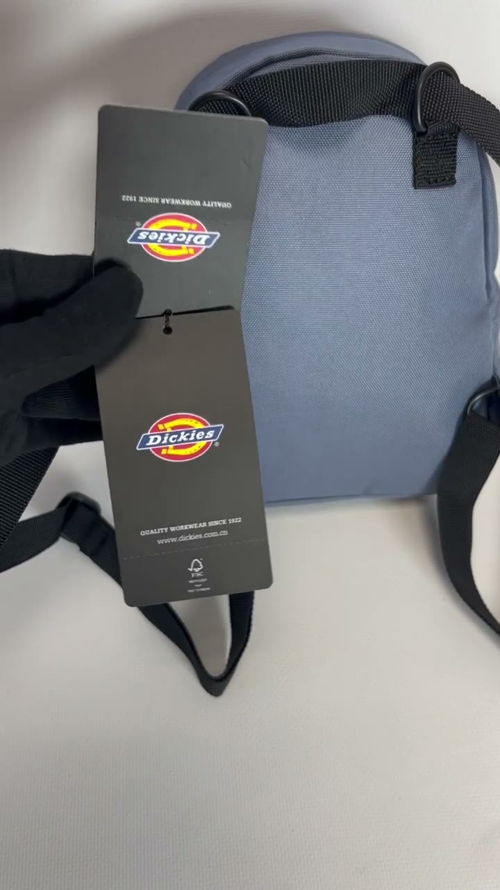 Рюкзак Dickies, городской, полиэстер, 2 лямки и ручка сверху, голубой — фото 1