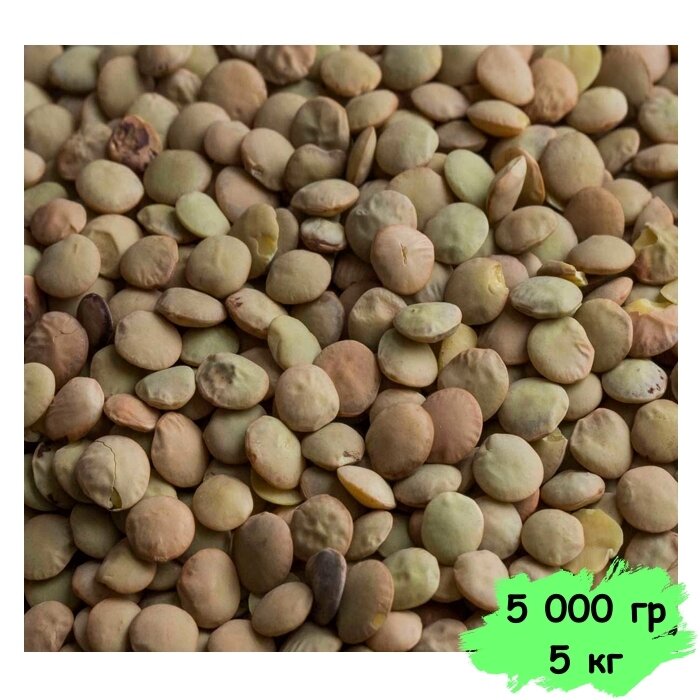 Чечевица зеленая Высший сорт, Вегетарианский продукт, Vegan 5000 гр, 5 кг
