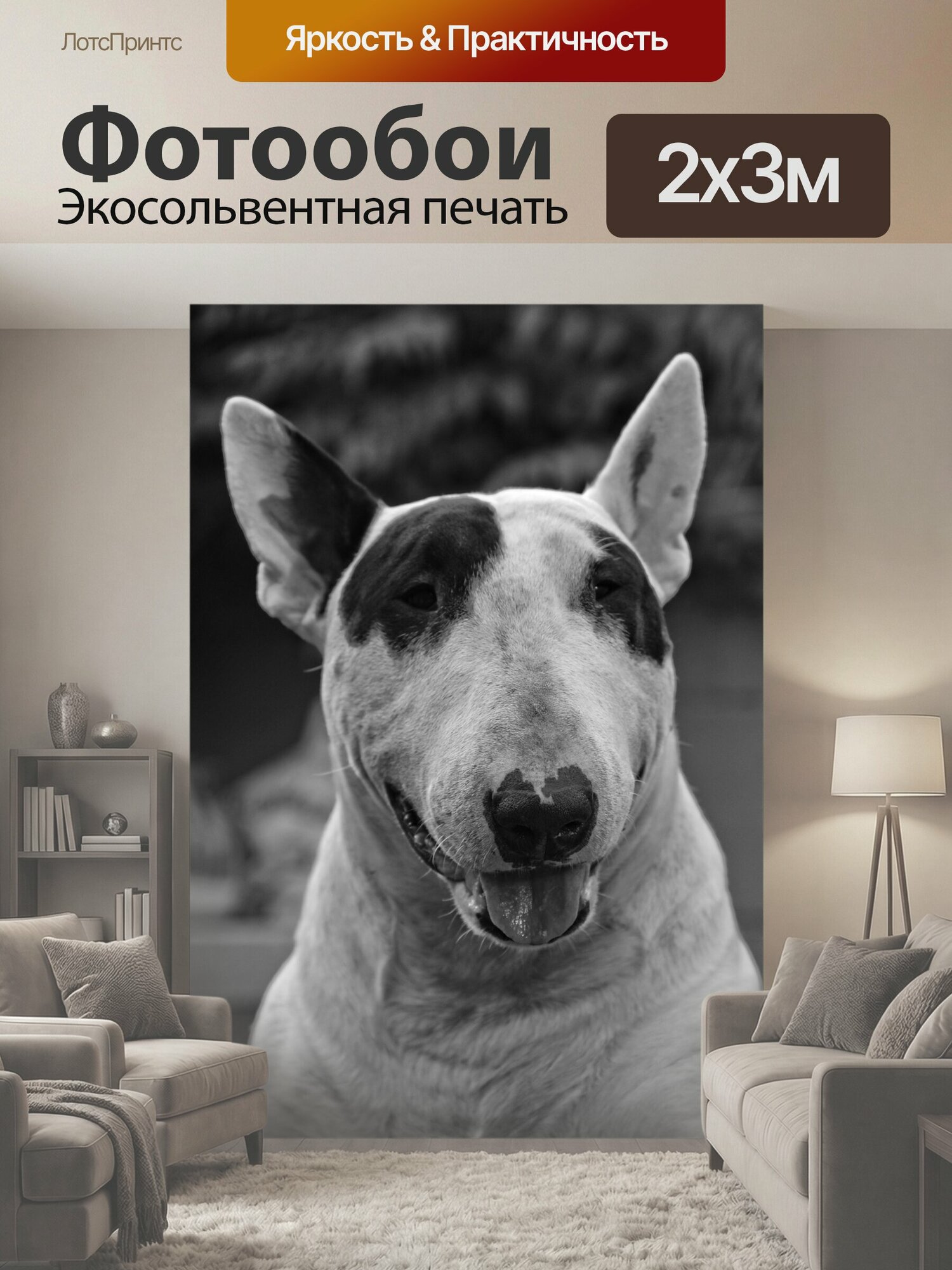 Фотообои "Собака, бультерьер, белый" 200x300 см. экосольвентная печать